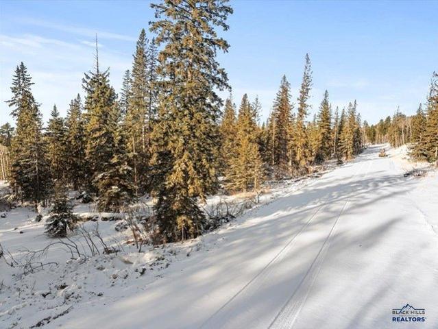 Lost Camp Trl Lot 5, Lead, SD 57754