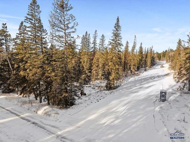 Lost Camp Trl Lot 1, Lead, SD 57754