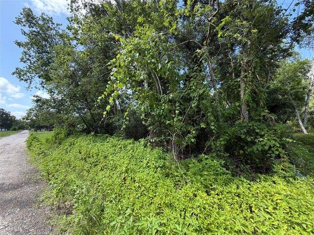 Lost Forest Dr Lot 97, Guy, TX 77444