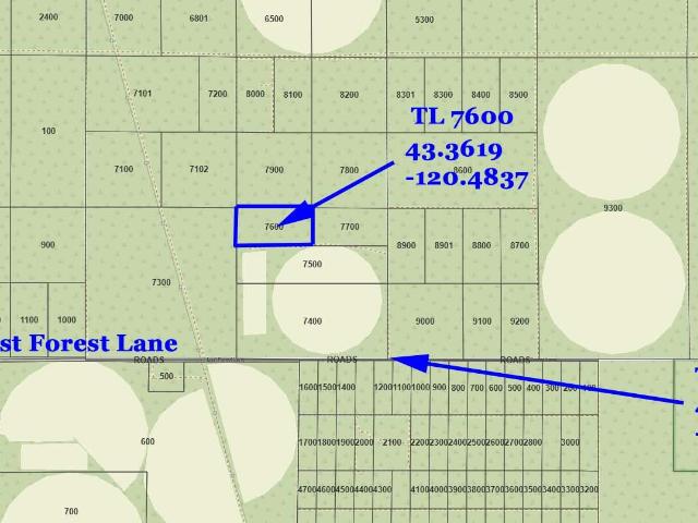 Lost Forest Lane # TL 7600