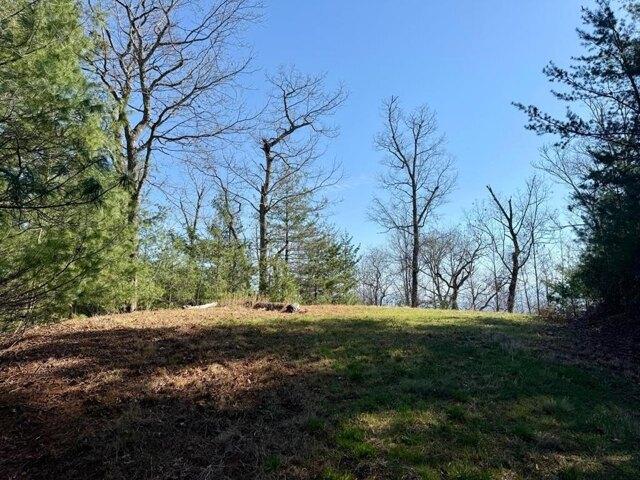 Lost Indian Trl Lot,whittier, Plot For Sale