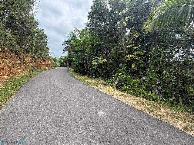 Los Mendez, Isabela, Plot For Sale