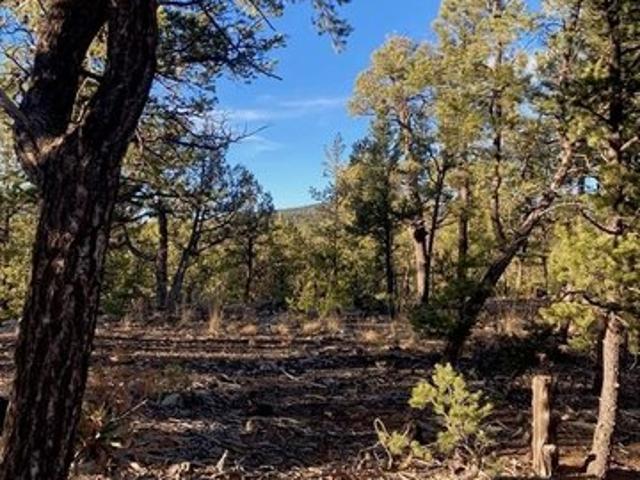 Los Nidos Ln, Pecos, NM 87552