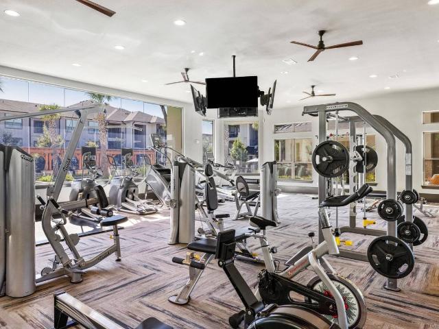 Los Robles Apartments 1 Bedroom Apartment for Rent at 20838 Blanco Rd, San Antonio, TX 78260 Stone Oak