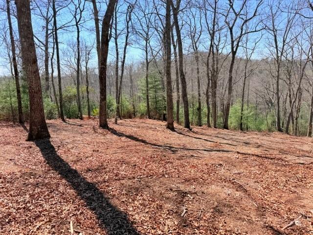 Lot 66 Autumn Fern Trail