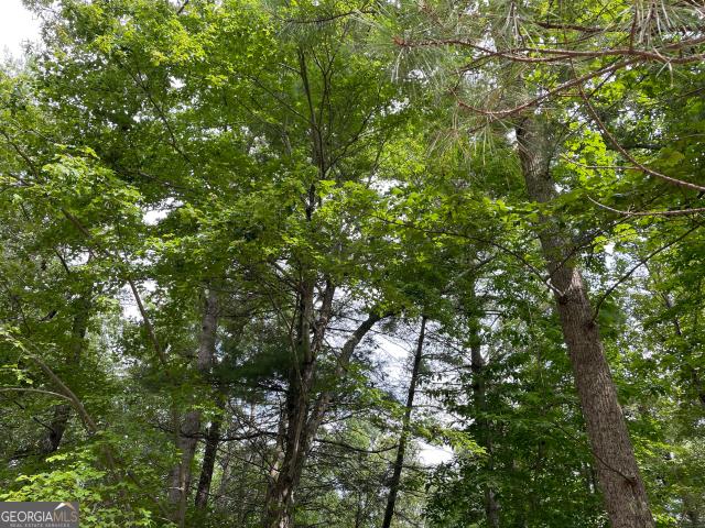 Lot13 Sour Apple Ln, Unit 13, Blairsville, GA 30512 | MLS #10570 | Compass
