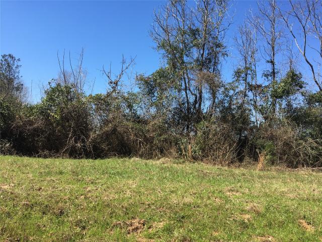 Lot11 County Road 175