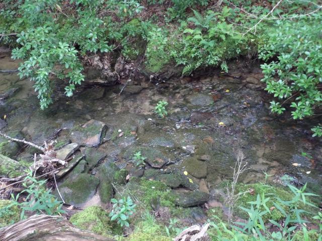 Lot12 Summer City Rd, Evensville, TN 37332 | MLS #1515 | Compass