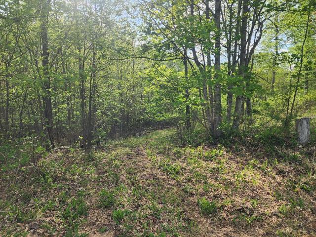 Lot15 16 Seven Springs Pkwy