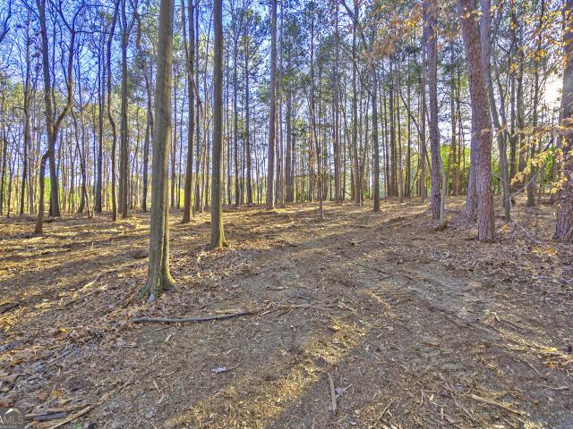 LOT1 Powderbag Creek Road