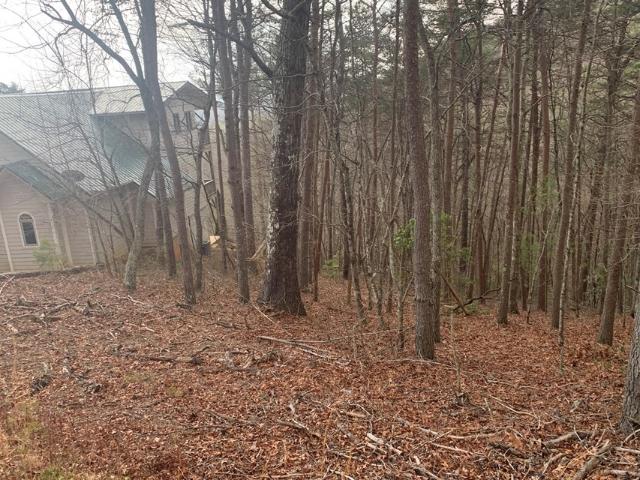 Lot20 Wolf Ridge Ln, Murphy, NC 28906 | MLS #318842