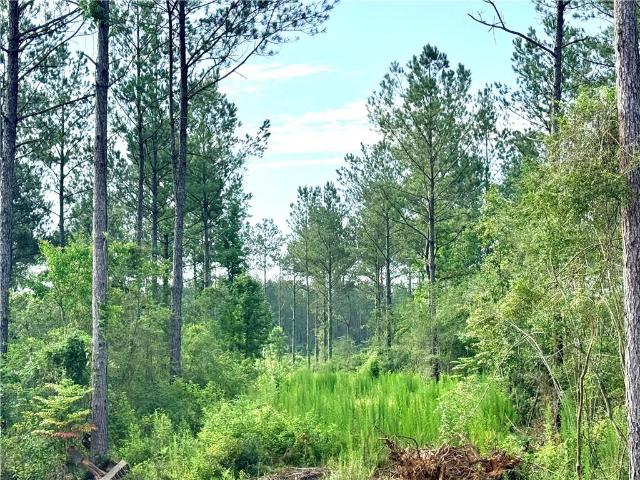 Lot2 A 4.42ac Lee Road