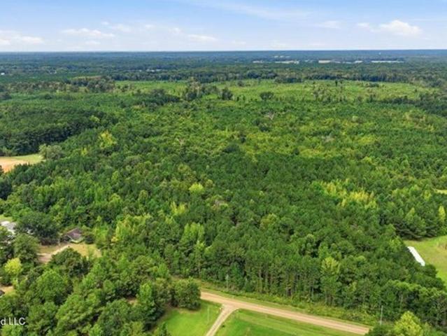 Lottville Rd Lot 2, Canton, MS 39046