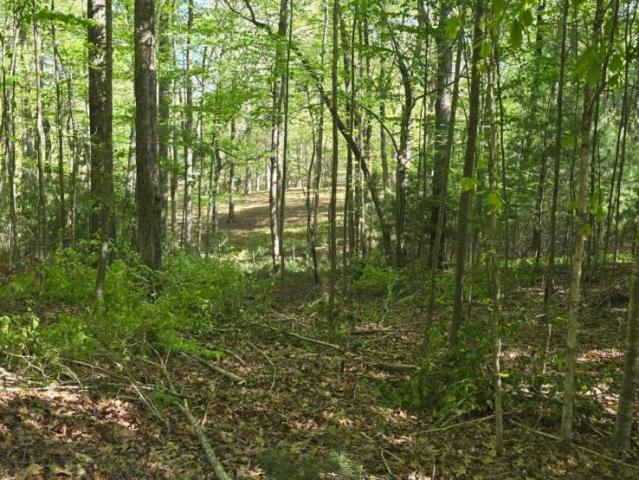 LOT 3 4 Scouts Overlook Lane
