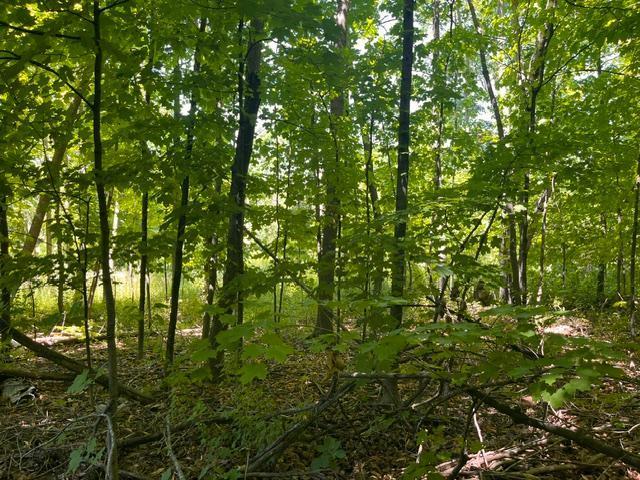 Lot 3 60th Avenue