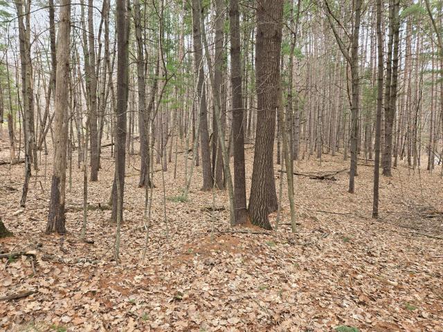 Lot 3 732nd Avenue