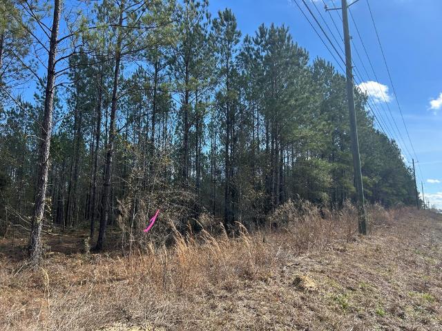 Lot 3, 15+ ac Cottonwood Rd/ Phillips Rd