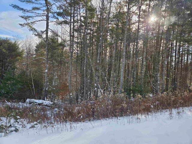 Lot 3.1 Off Parker Road