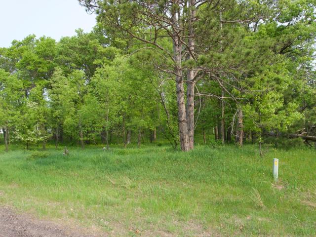 lot 3 283rd Ave NW, Zimmerman, MN 55398 | MLS #7067