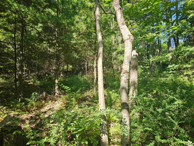 Lot 3.2 Off Parker Rd, Lisbon, NH 03585 | MLS #5078 | Compass