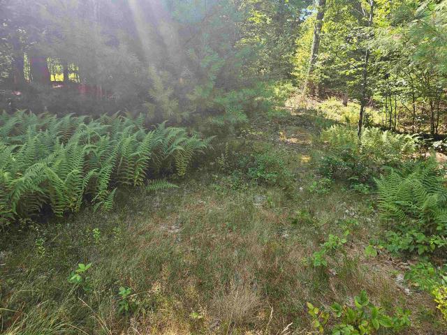 Lot 3.3 Off Parker Road