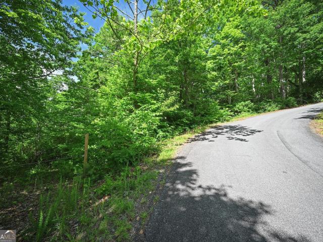LOT 3 The Ridges
