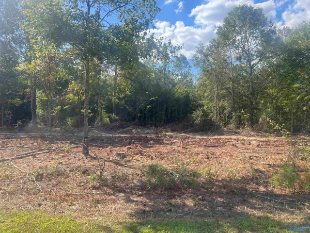 Lot 3, Tract 3 Summer Breeze Drive
