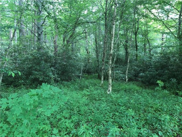 Lot #3 Trillium Lane