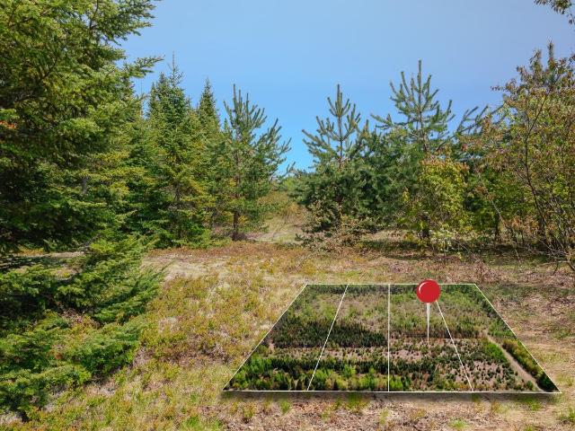 Lot 3 W Pendills Lake Road