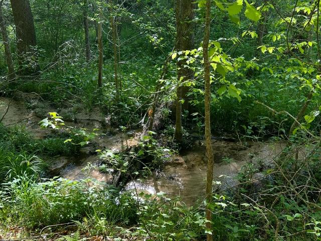 Lot 3 Wallace St, Warsaw, VA 22572 | MLS #VARV2000