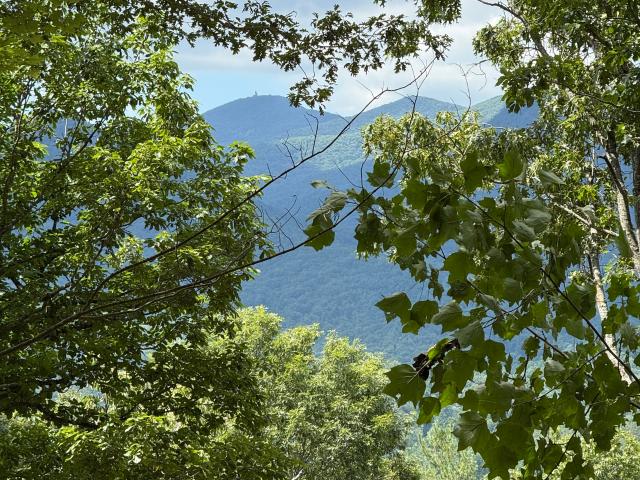 LOT 3 Whiskey Mountain Estates