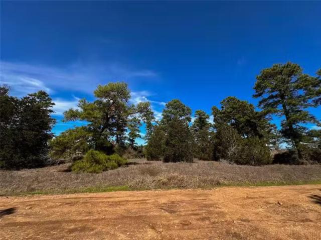 Lot 3 Winding Pine Dr, Bastrop, TX 78602