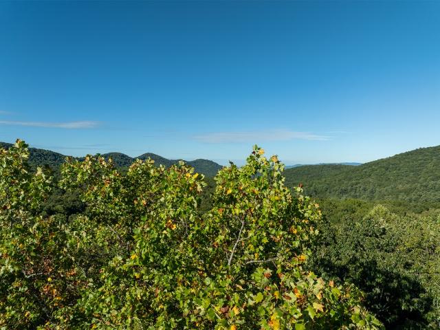 Lot 3 Wilderness Way, Ellijay, GA 30536 | MLS #420157