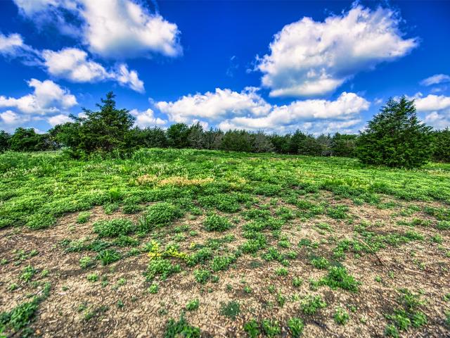 Lot 3 Wonder Hill Rd, Chappell Hill, TX 77426 | MLS #33771