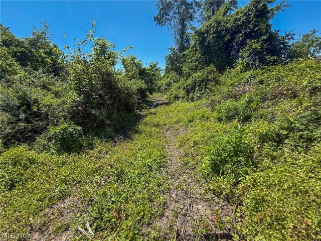 Lot 3 Altamont Rd