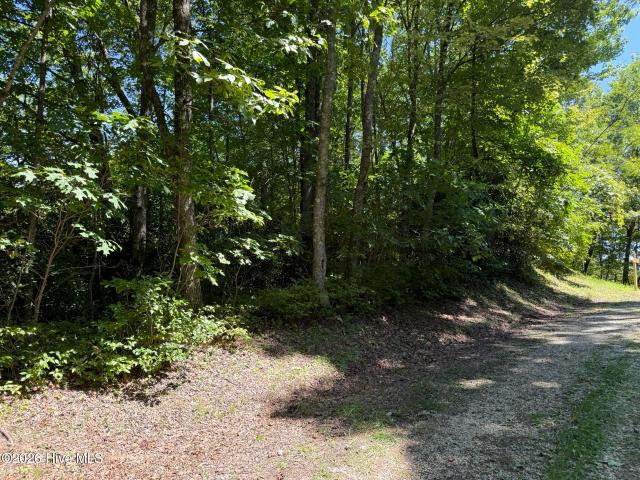 Lot 3 Amber Lane