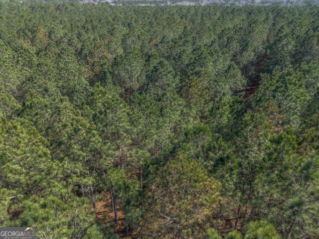 LOT 3 Ben Giddens Road