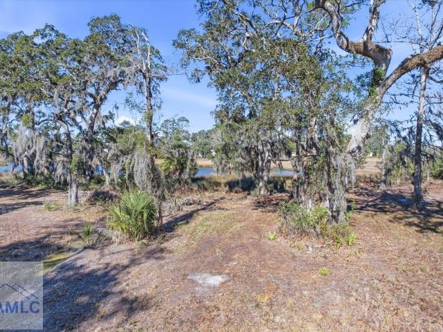 Lot 3 Bermuda Bluff Lane