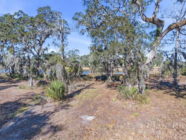 LOT 3 Bermuda Bluff Lane