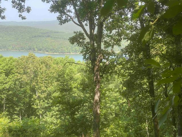Lot 3 Bluff Drive