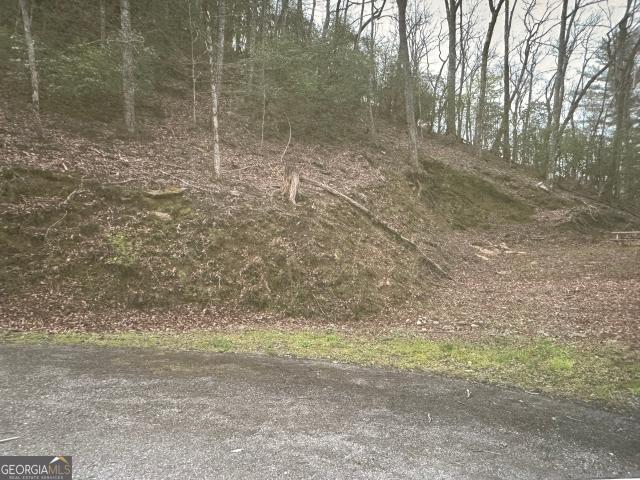 LOT 3 Buckhead Hills