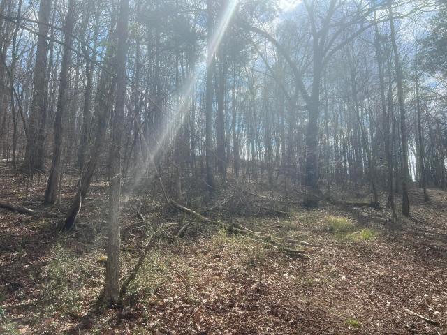 Lot 3 Candies Creek Ridge Road NW
