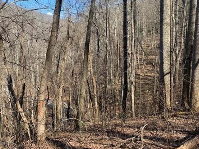 Lot 3 Cedar Mountain Road # 3