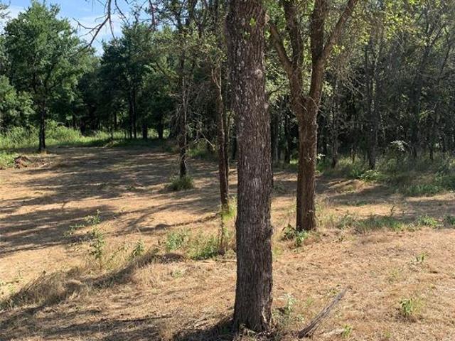 Lot 3 Cimmarron Trail