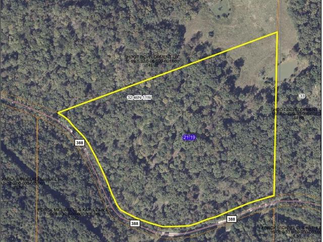 Lot 3 county road 388