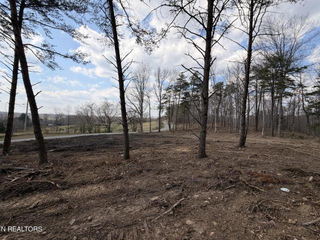 Lot 3 Claysville Rd