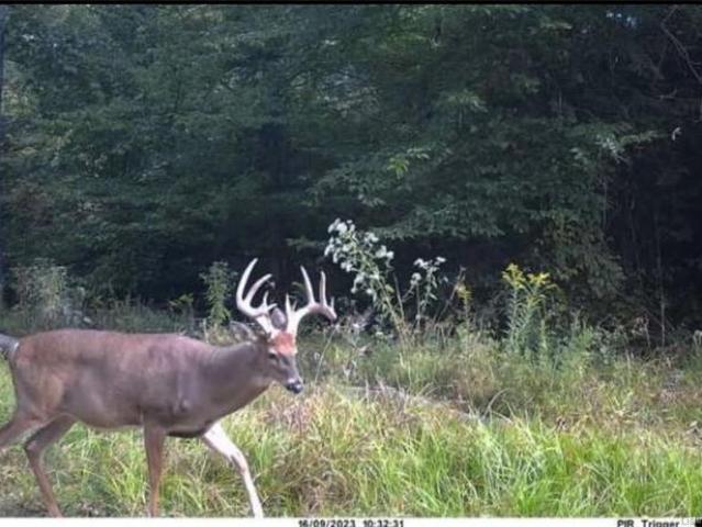 Lot 3 Deer Creek Road