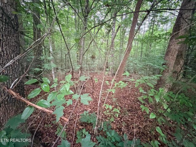 Lot 3 Evergreen Drive, Oneida, TN 37841