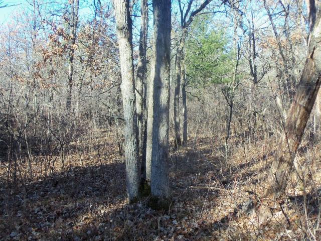 Lot 3 Ferry Rd, Grantsburg, WI 54840 | MLS #6821