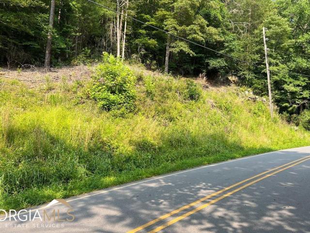 LOT 3 Fires Creek Road